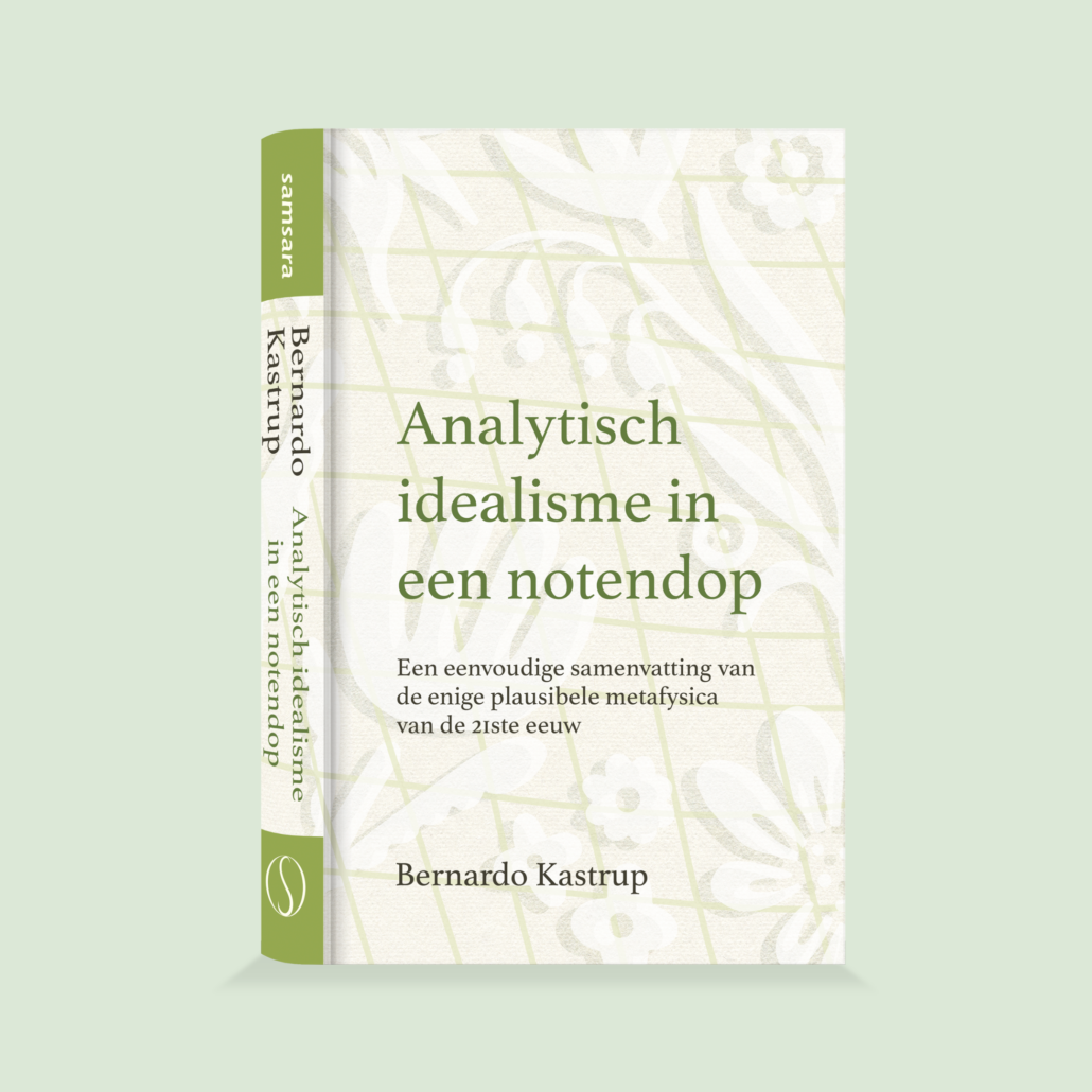 Analytisch idealisme in een notendop - Bernardo Kastrup