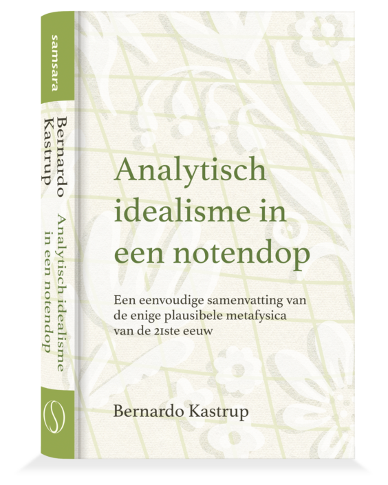 Analytisch idealisme in een notendop - Bernardo Kastrup